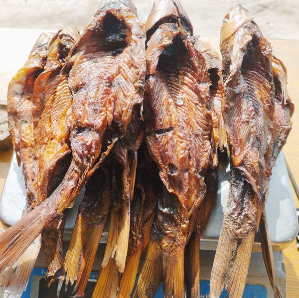 Karnali Sukuti Machha - Chisapani,Banke, Nepal