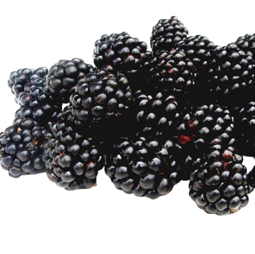 Order Frozen Momo Online in Nepal: Chicken, Buff, Veg & Paneer from ...