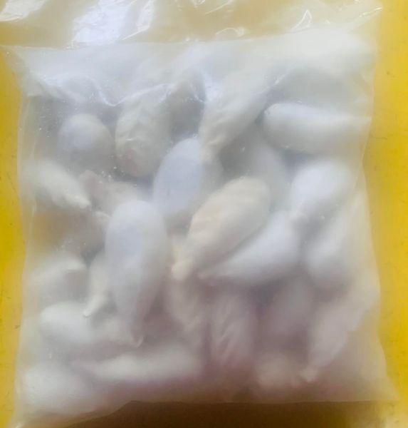 Order Frozen Momo Online in Nepal: Chicken, Buff, Veg & Paneer from ...