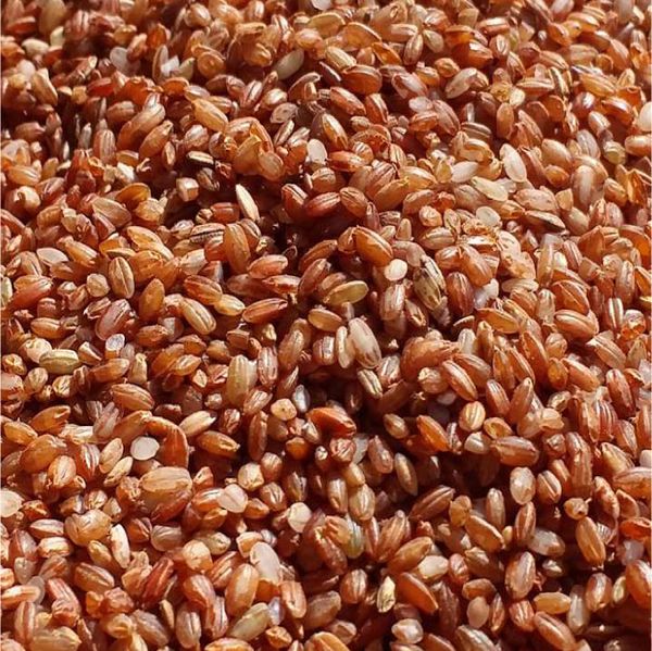 Buy Premium Marsi Rice Online in Nepal | Nutrient-Rich & Healthy
