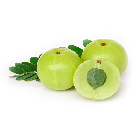 Buy Fresh Amla Online in Nepal – Boost Immunity | Sewapoint
