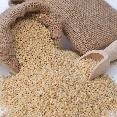 Buy Fresh Organic Junelo (जुनेलो) Sorghum online at SewaPoint